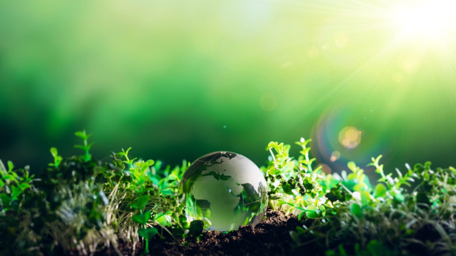 How Do You Empty a Composting Toilet? Easy & Safe Guide